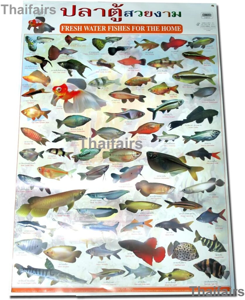 ⇨ La mejor colección de Pósters de Animales para decorar tus paredes